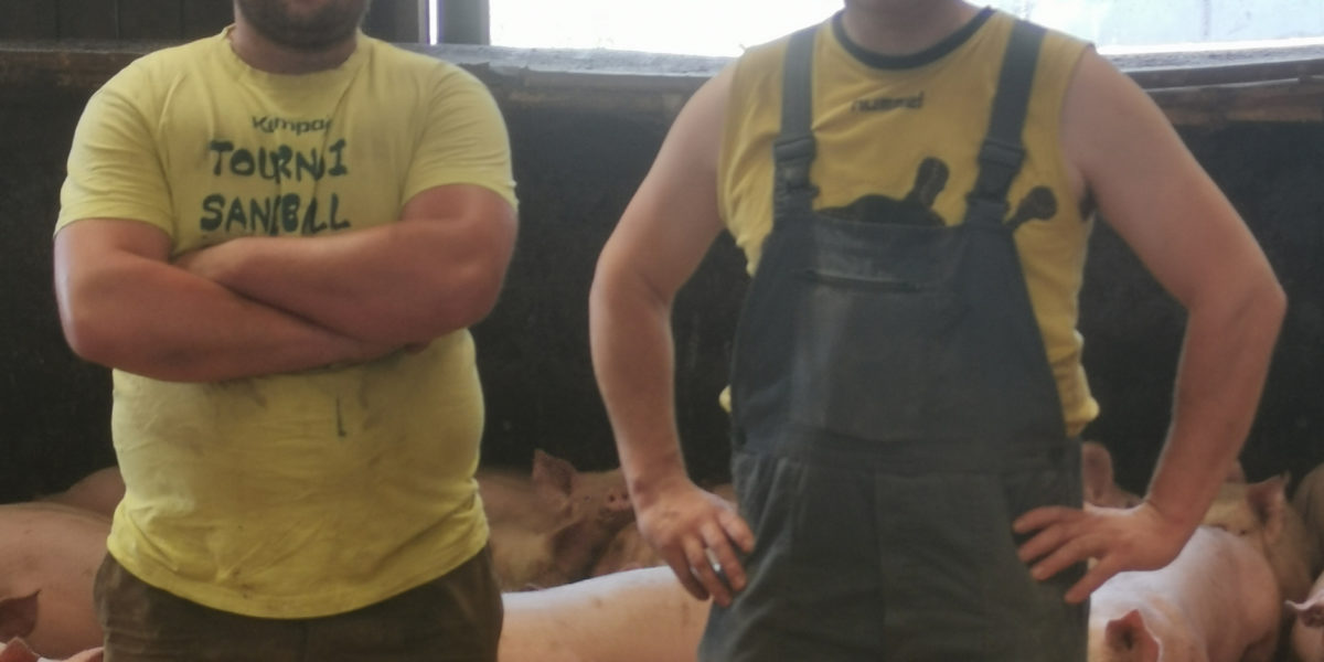 La Ferme Alsalin, éleveurs de cochons à Ostheim (Alsace) - Hop'la