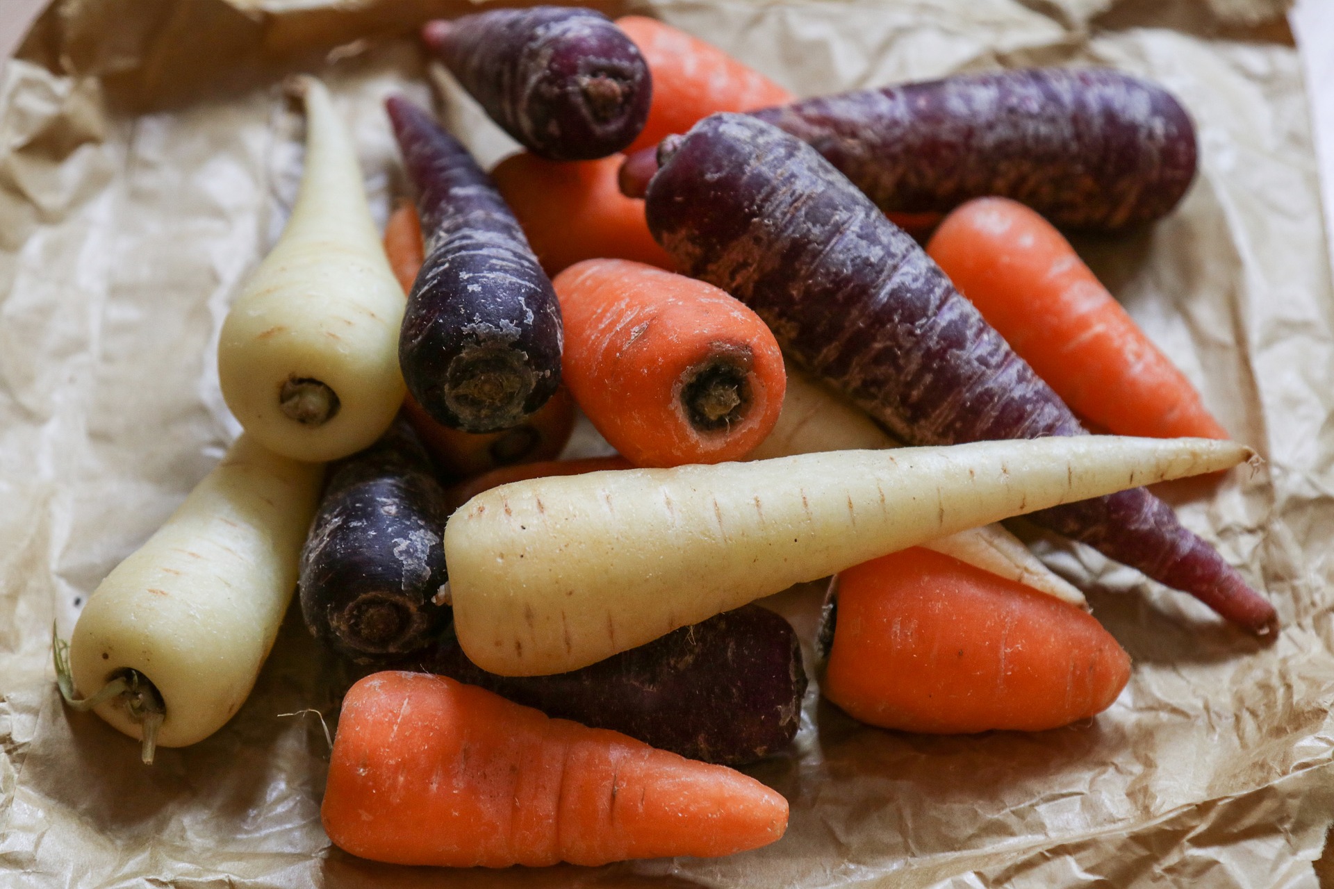 Salade de carottes multicolores